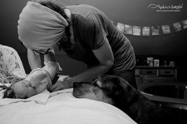 Pets supporting their humans through childbirth - The Natural Parent ...