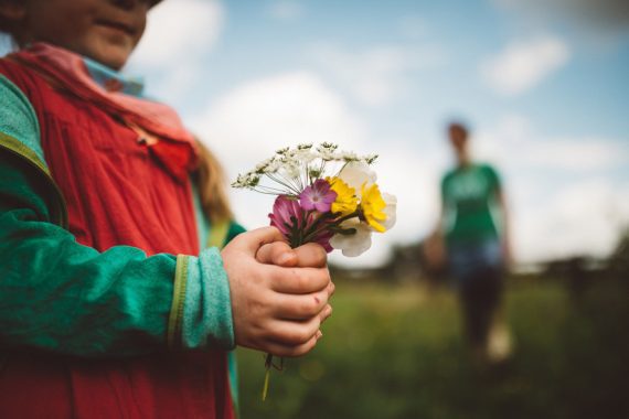 Roots and Wings - Childhood needs a Revolution: A Handbook For Parents ...