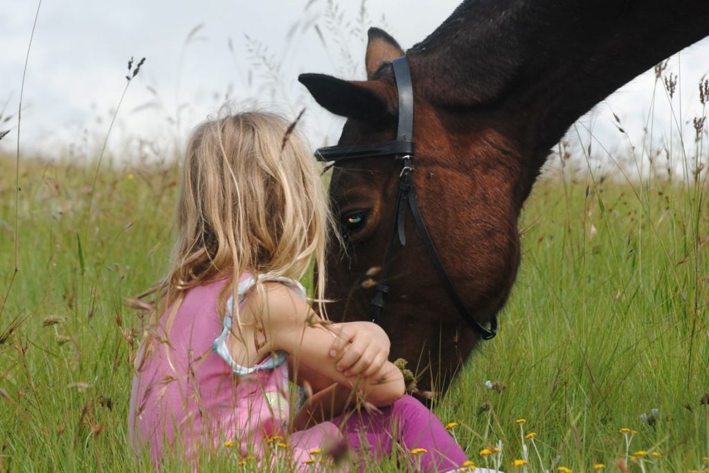 How raising animals benefits children - The Natural Parent Magazine