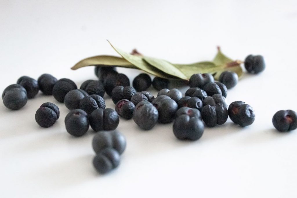 The Anti-Inflammatory Wonders of the Tasmanian Pepperberry - The ...