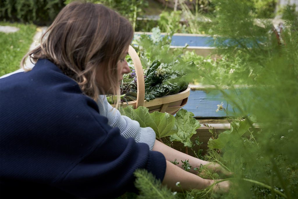 A Guide to Eco-Nomics - The Natural Parent Magazine